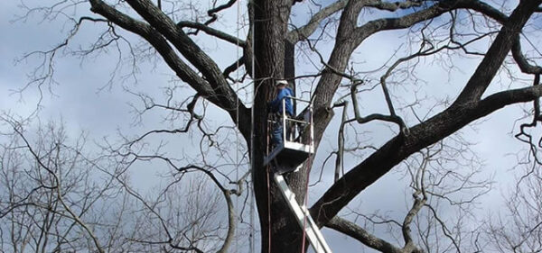 WB Lightning Rods | #1 Best Lightning Protection Systems